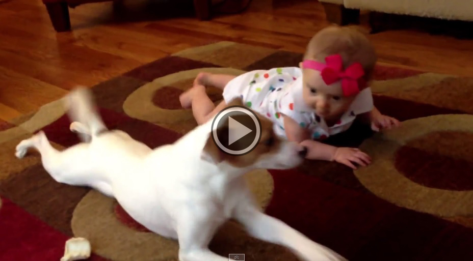 bebe catelus - Descoperiri.ro - Știri și descoperiri fascinante din ...