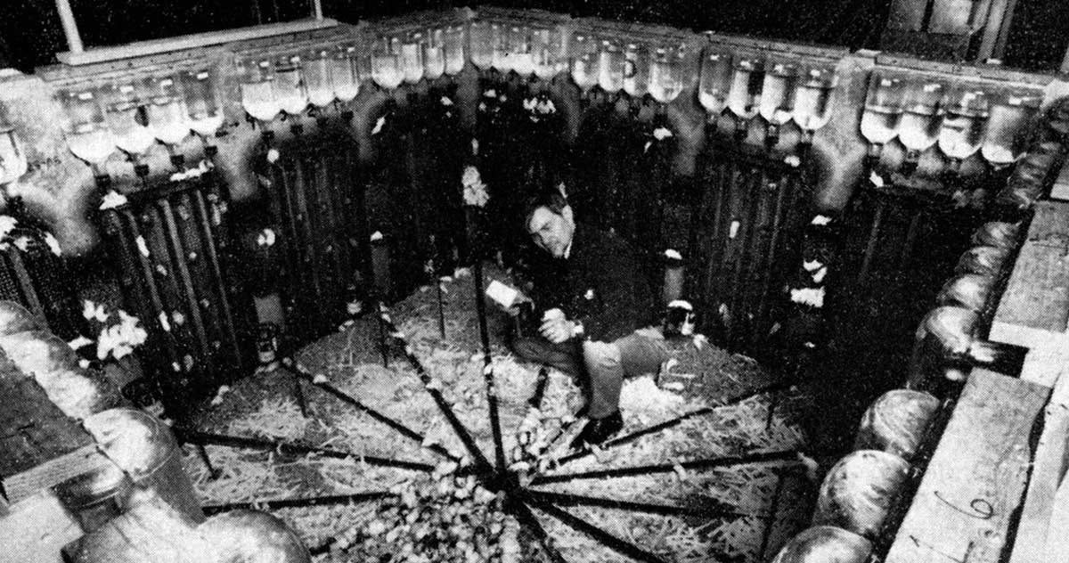 Universul 25: experimentul care dă fiori. Cum a ajuns "utopia ...