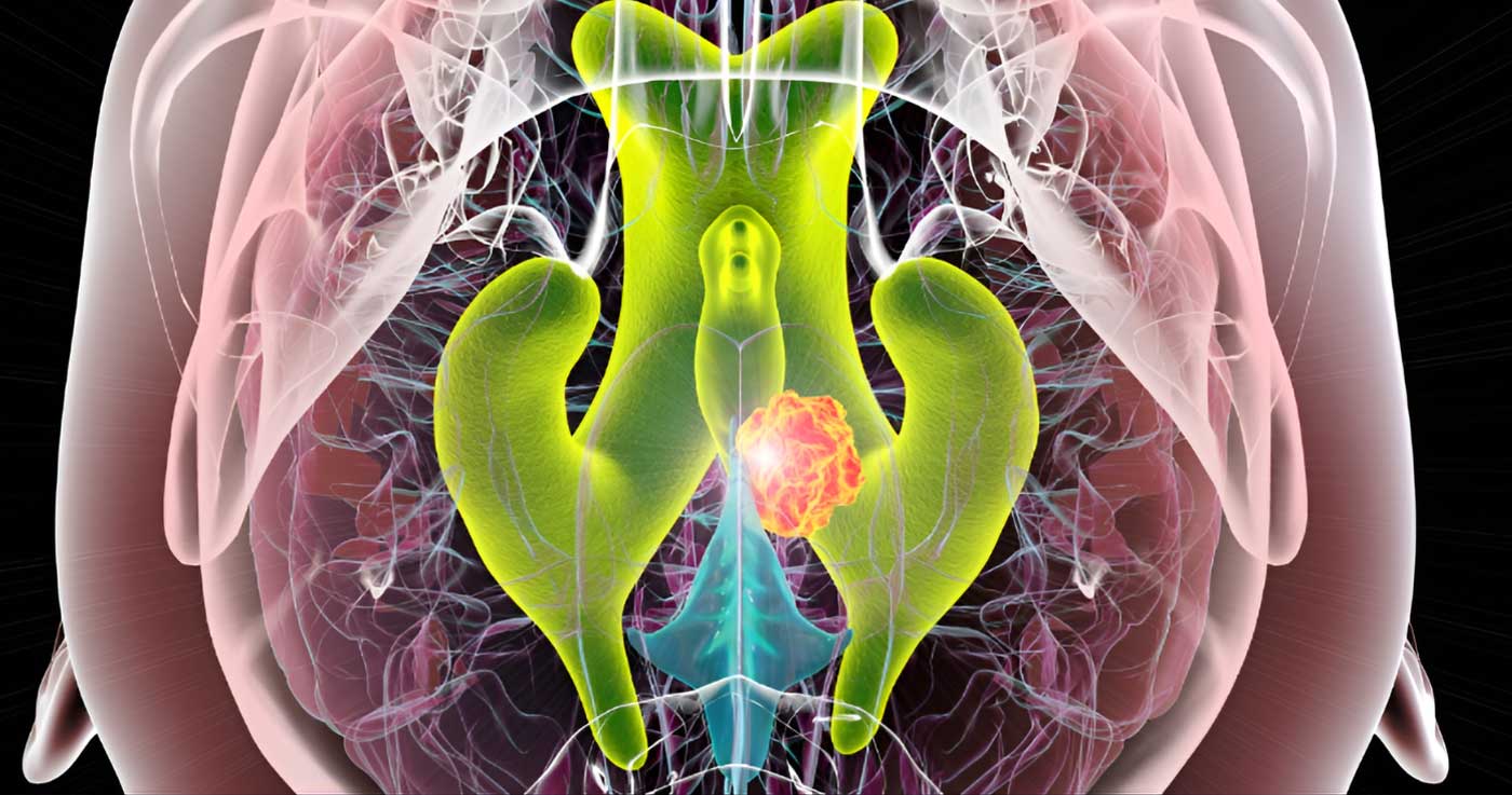 Un fluid vital îţi protejează cel mai important organ. Ce se întâmplă ...