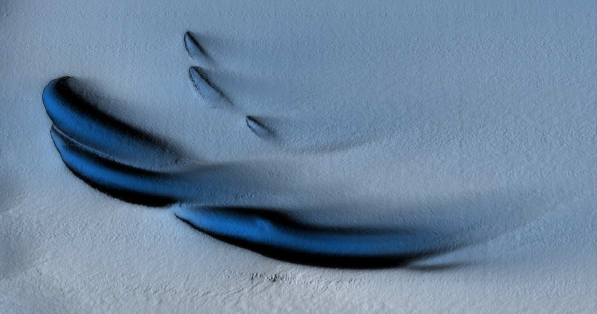 Forme nemaivăzute până acum, lungi de până la 400 de metri, descoperite ...