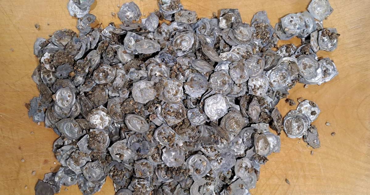 Tezaur medieval masiv de monede în valoare de „aproximativ 150 de oi ...