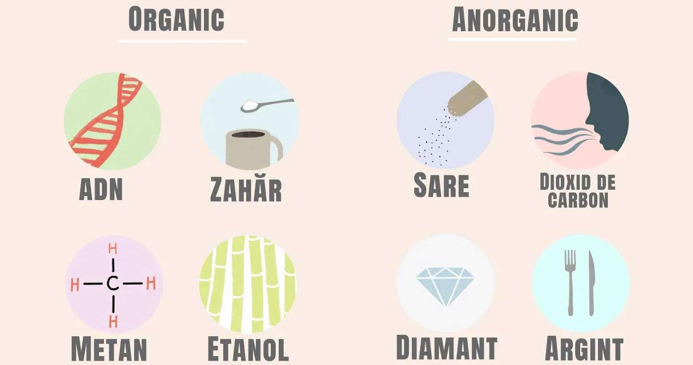 Care este diferenţa dintre organic şi anorganic şi ce înseamnă fiecare?